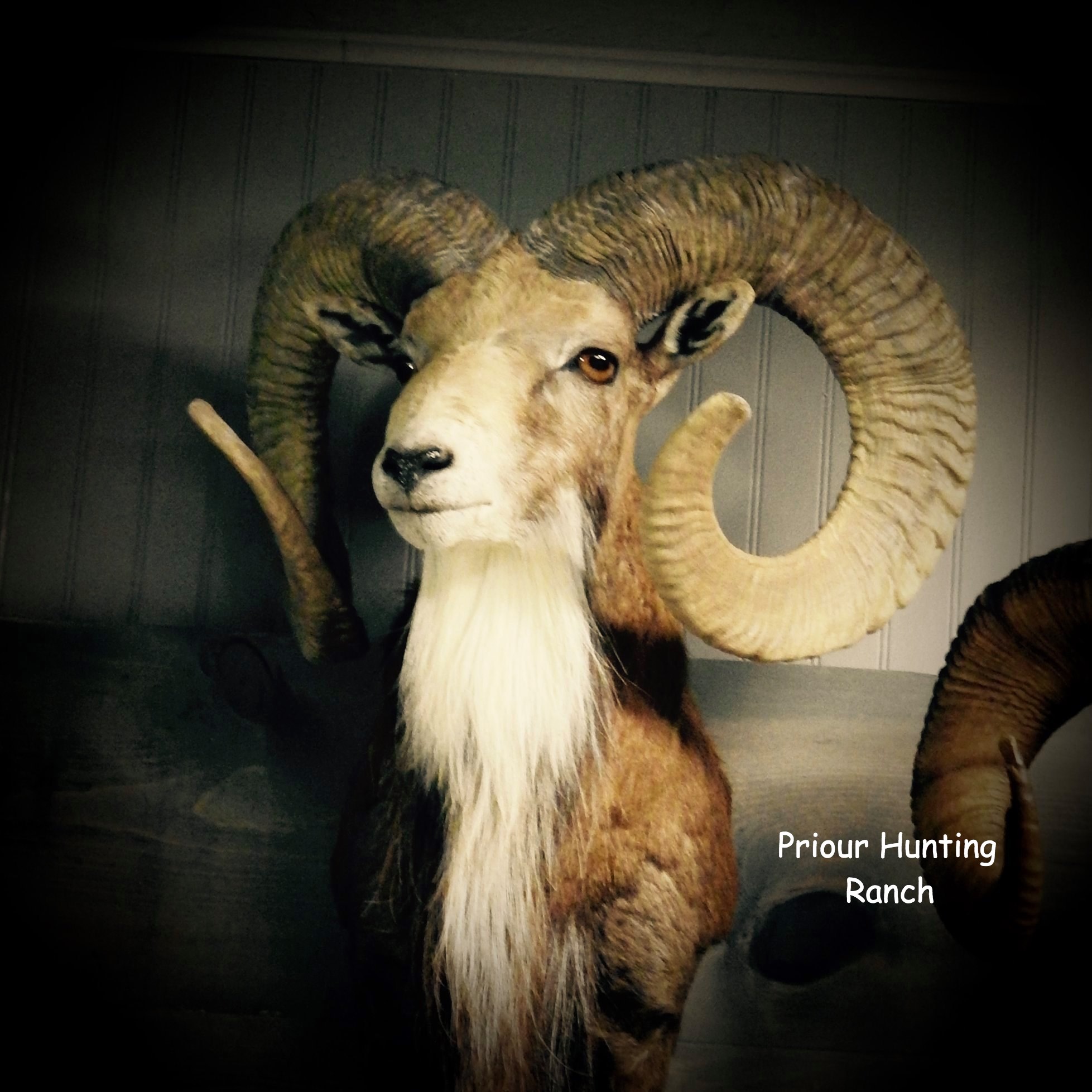 Record Book Success – Welcome to The Priour Hunting Ranch