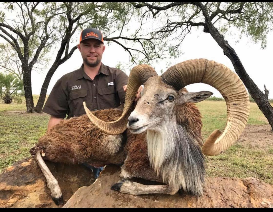 Welcome to The Priour Hunting Ranch – Hunting the Hill Country in Texas